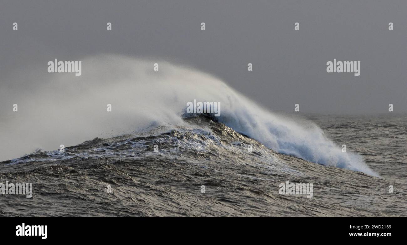 Winter storms in the North Sea soon blow up large breaking waves that ...