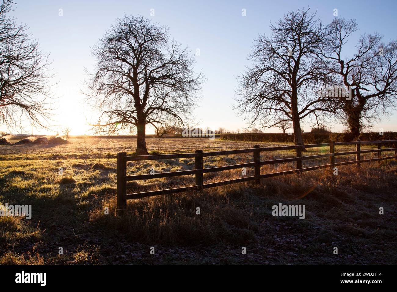 stunning scenery during sunrise in the rural village of Clyst St ...