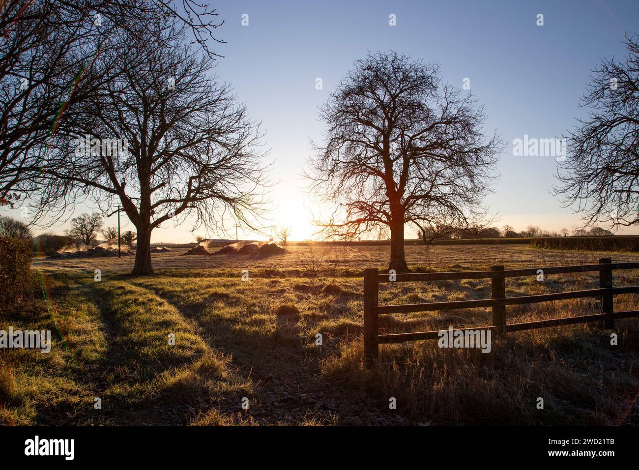 stunning scenery during sunrise in the rural village of Clyst St ...