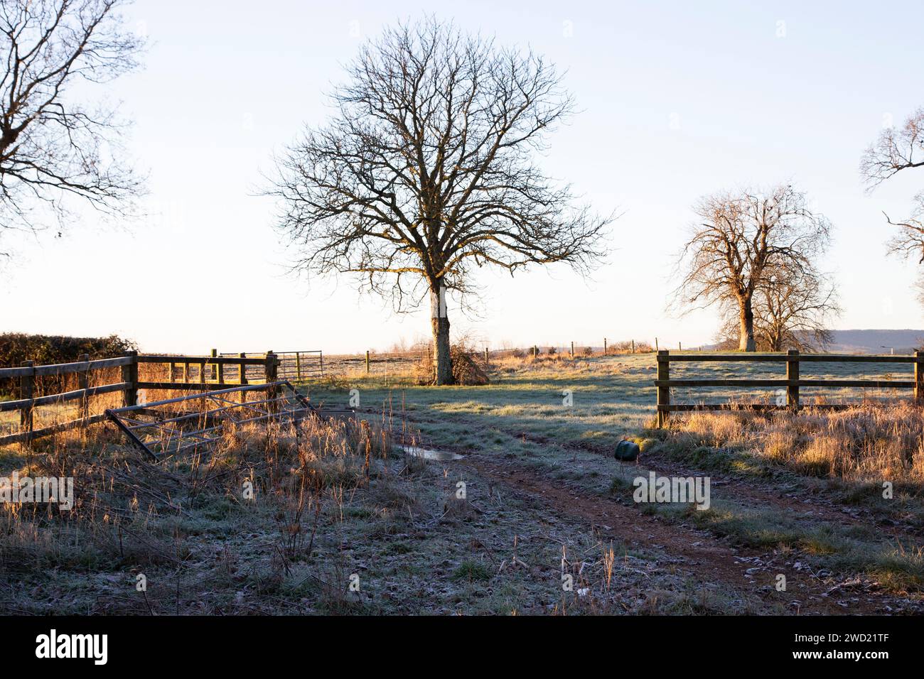 stunning scenery during sunrise in the rural village of Clyst St ...