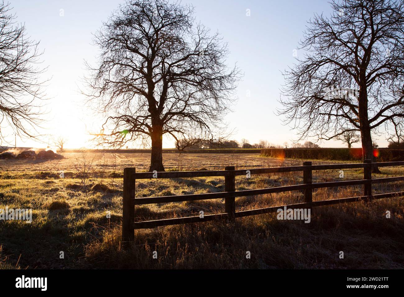 stunning scenery during sunrise in the rural village of Clyst St ...