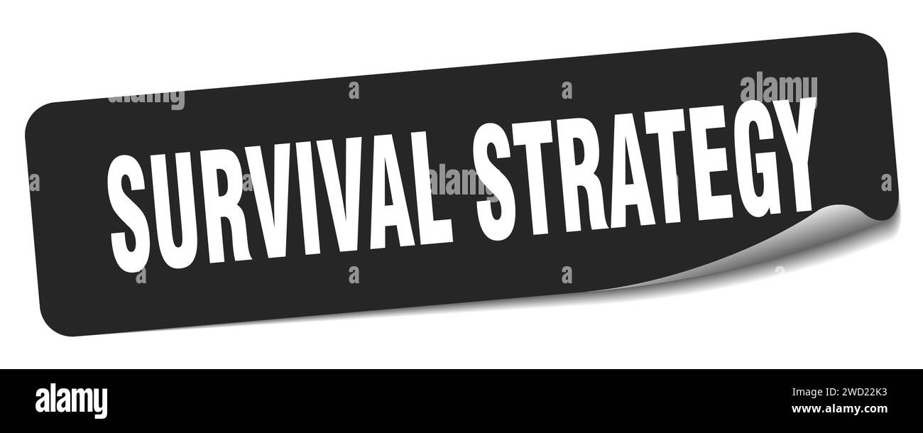 survival strategy sticker. survival strategy rectangular label isolated ...