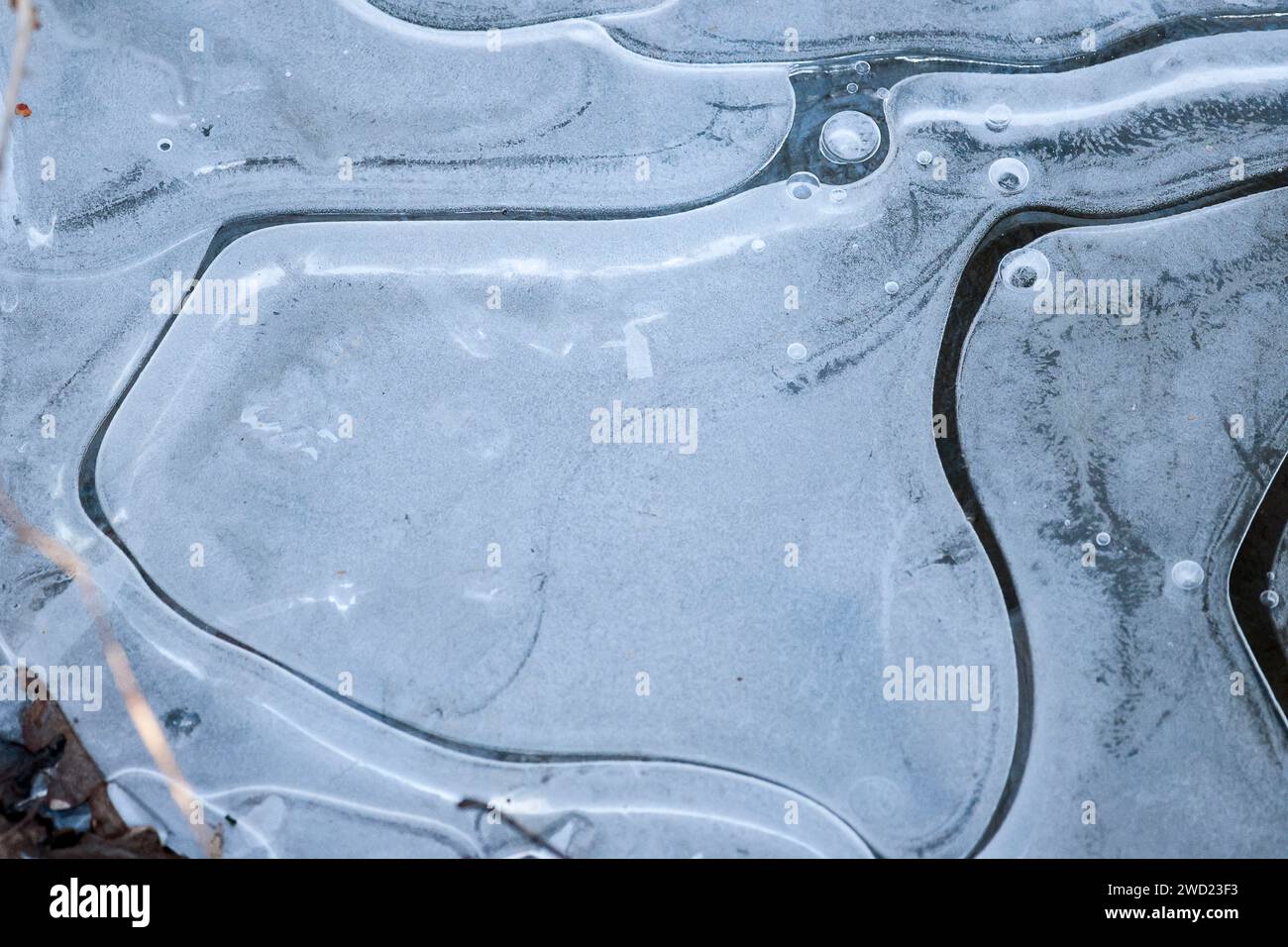 Ice frozen water from wetland areas at wwt Arundel UK bluish white ice ...