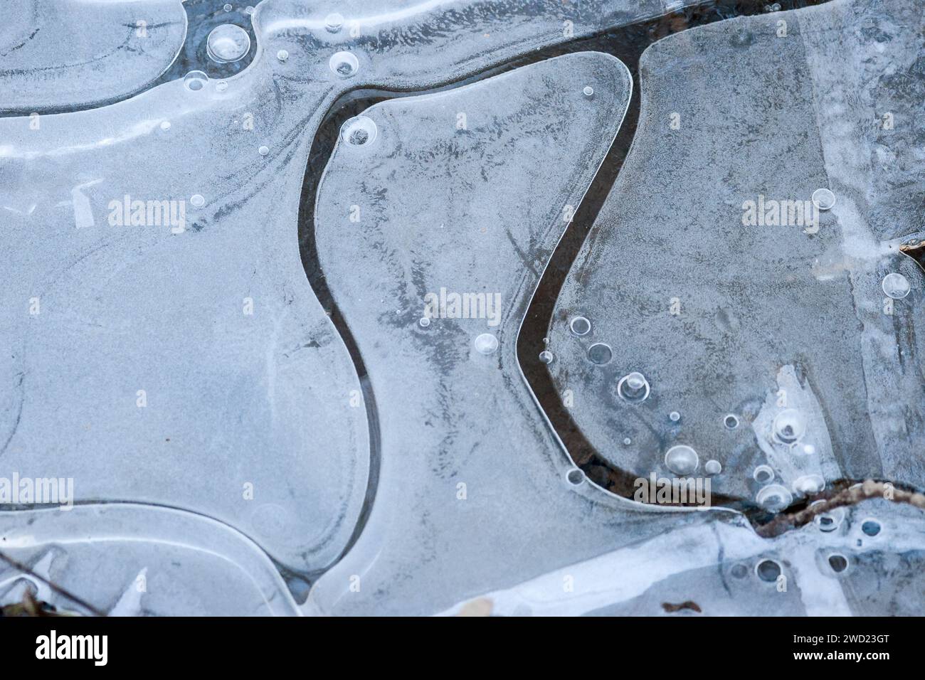 Ice frozen water from wetland areas at wwt Arundel UK bluish white ice ...