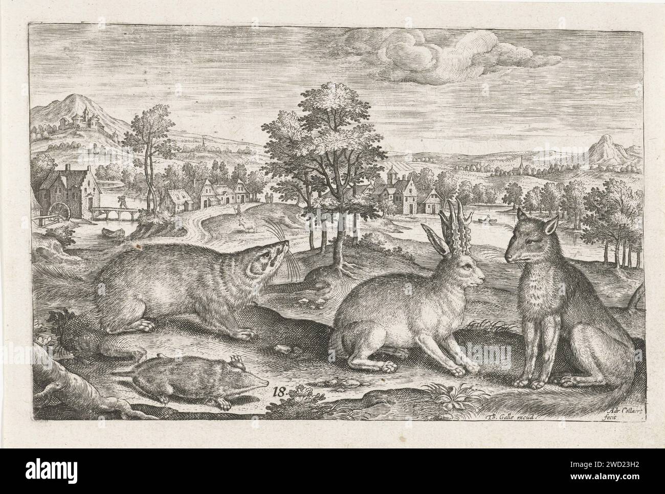 Horned hare hi-res stock photography and images - Alamy