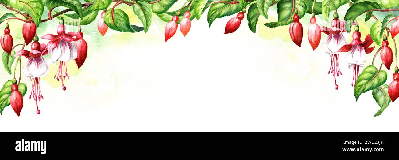 Fuchsia flower border, Profile Header template. Hand drawn watercolor ...