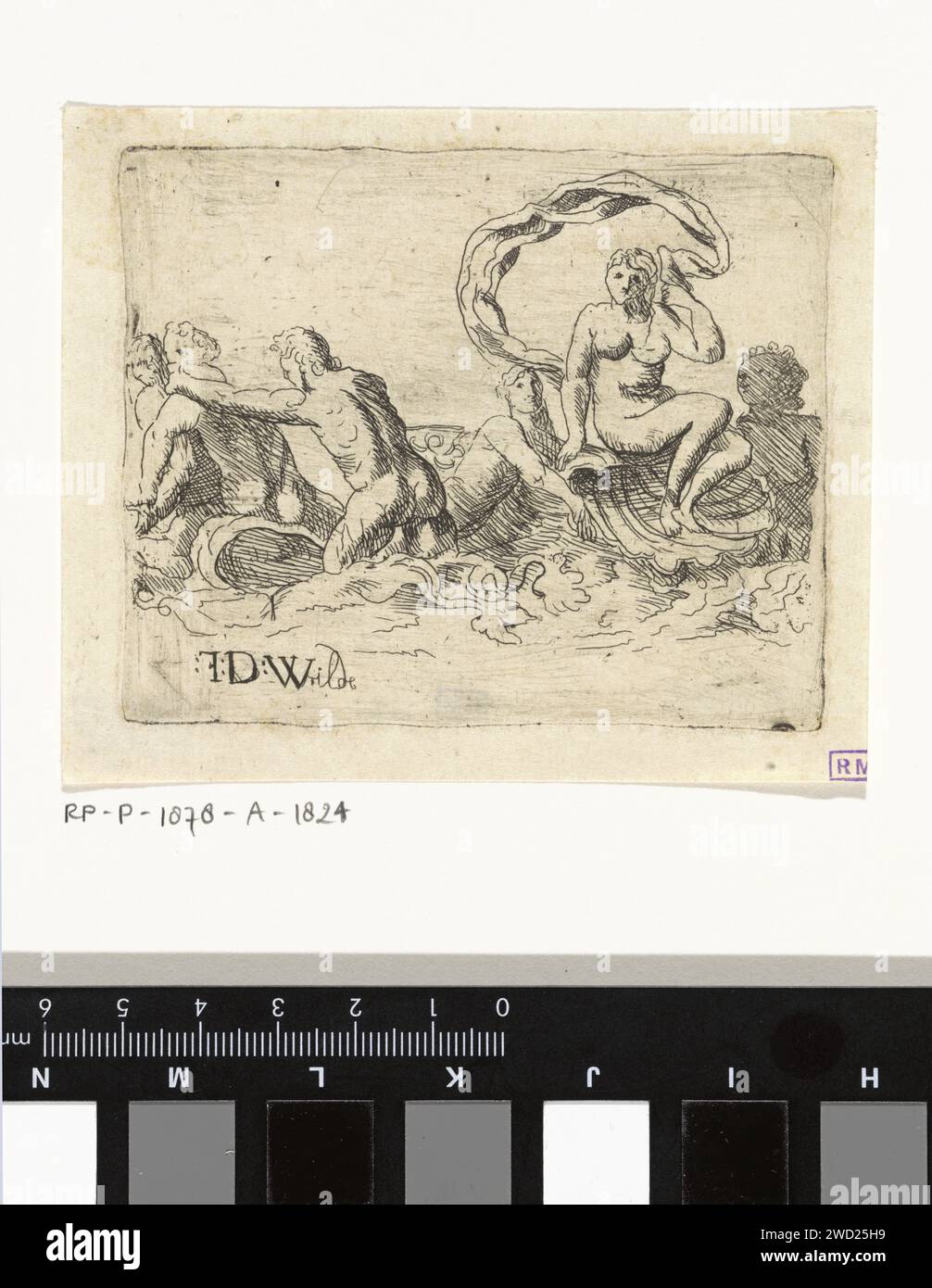 Other nereids hi-res stock photography and images - Alamy