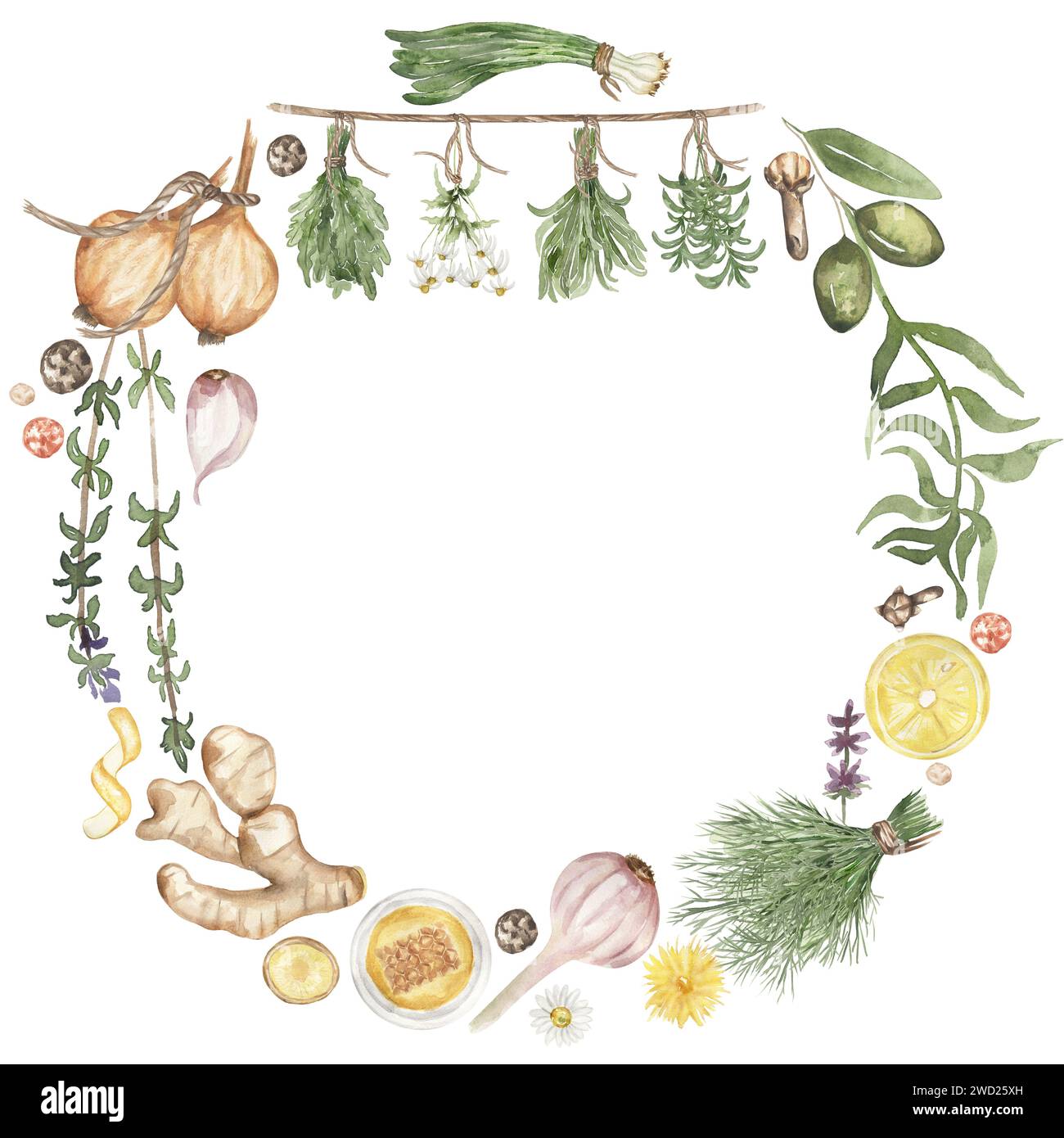 Watercolor spices and herbs wreath illustration. Healthy floral, hand ...