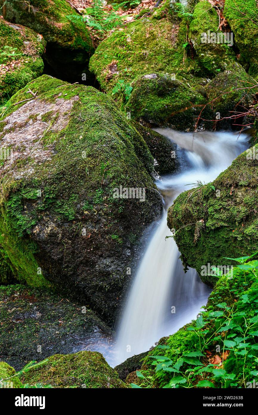 enjoy peace and quiet at the waterfall Stock Photo - Alamy