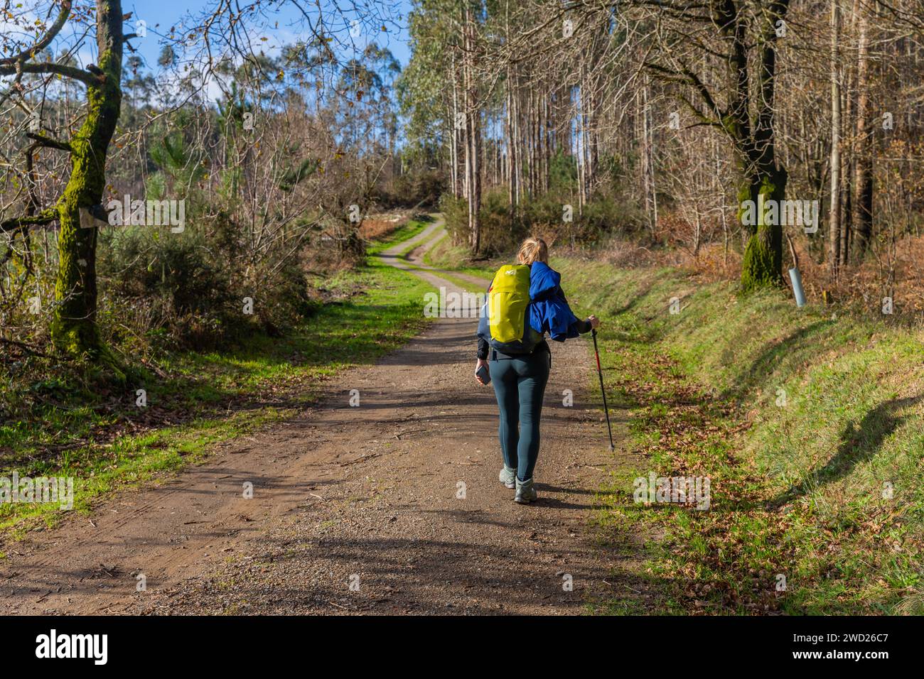 Galicia, Spain, 1 January, 2024: Pilgrim walk along the Camino De ...