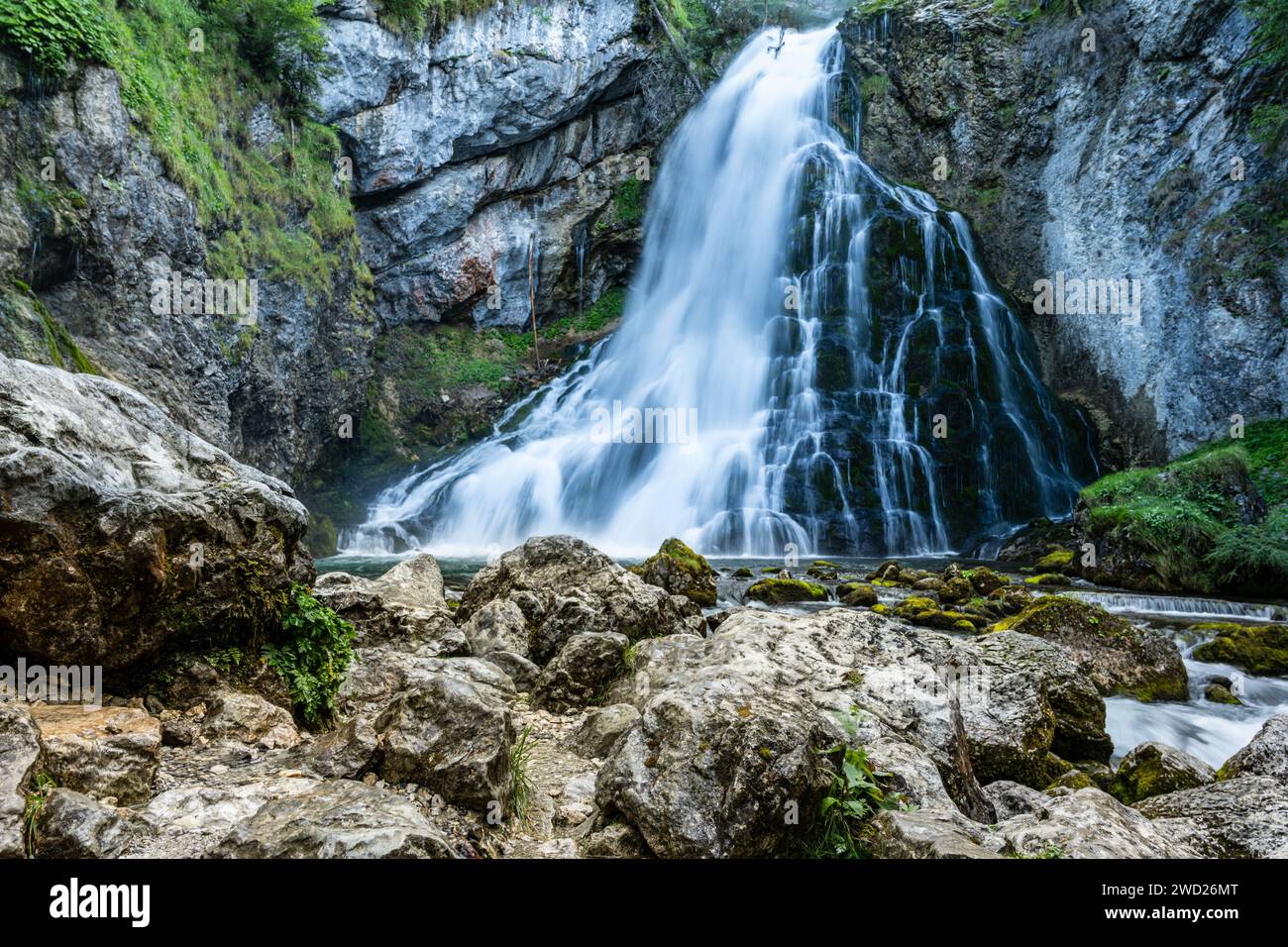 Spectcle hi-res stock photography and images - Alamy