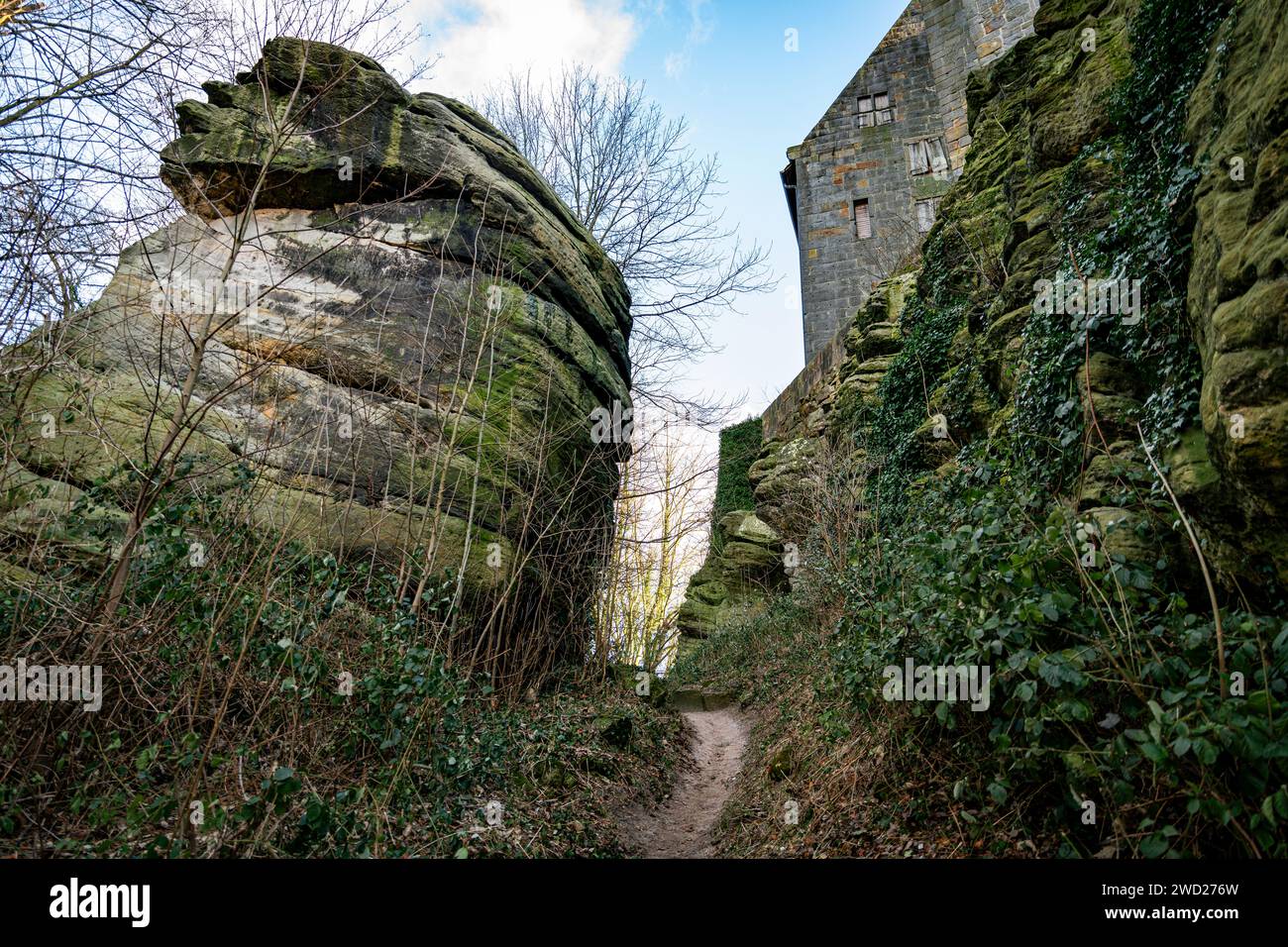 Devils ear cushion hi-res stock photography and images - Alamy