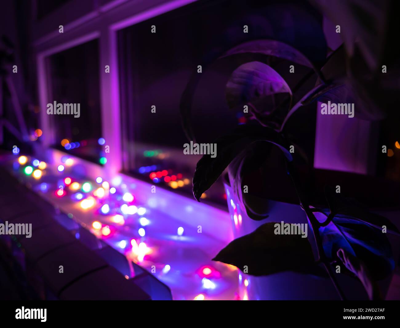 String of lights hi-res stock photography and images - Alamy