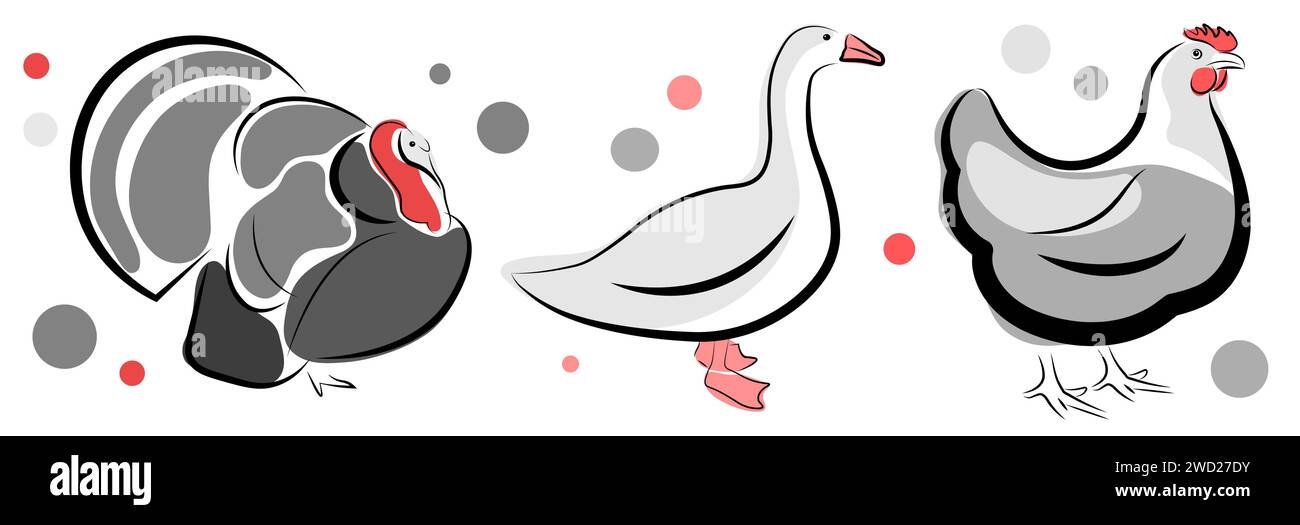 Turkey, goose and chicken on white background. Doodle Stock Vector Image & Art - Alamy
