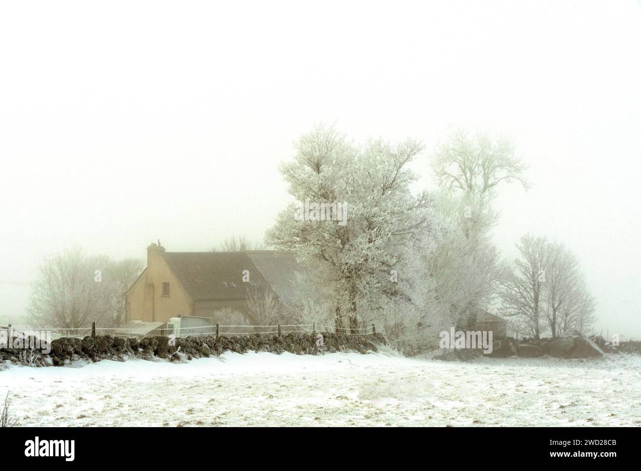 Aubrac plateau. Isolated farm in winter. Lozere. Occitanie. France ...
