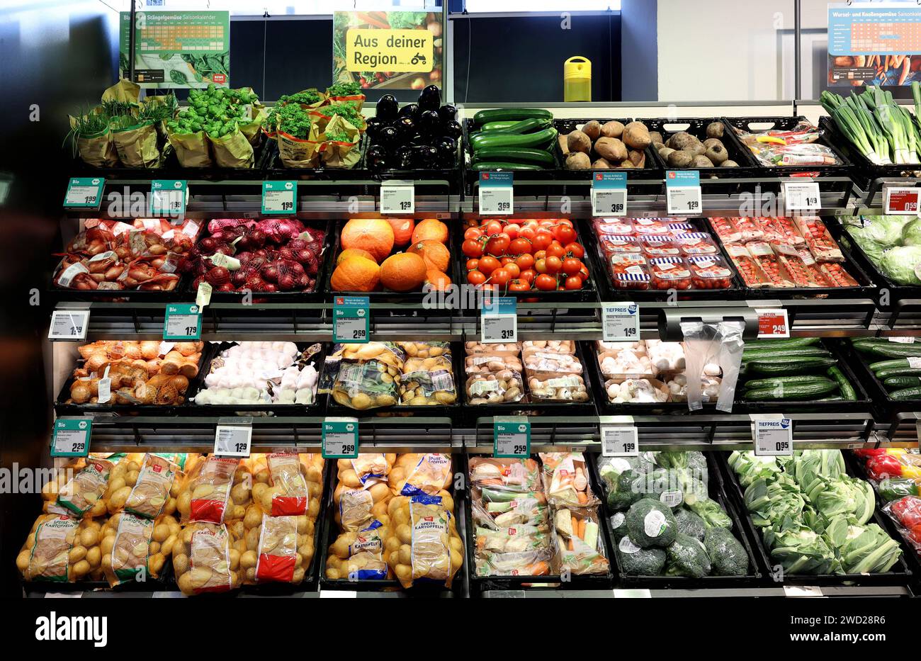 17.01.2024, Berlin - Deutschland. Prall gefülltes Obst- und Gemüseregal ...
