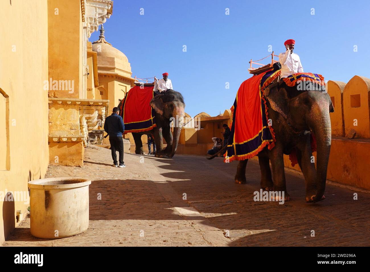 India. 11th Jan, 2024. Indian Mahout rides a painted elephant in the ...