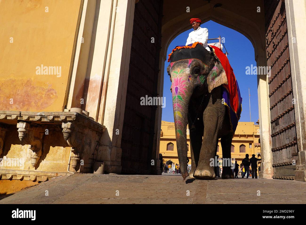 India. 11th Jan, 2024. Indian Mahout rides a painted elephant in the ...