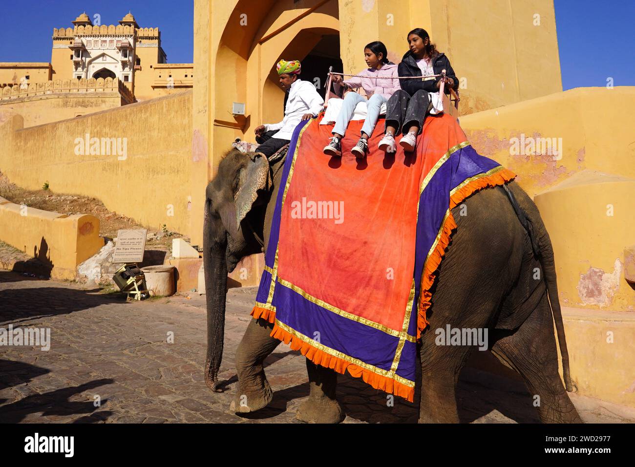 India. 11th Jan, 2024. Indian Mahout rides a painted elephant in the ...
