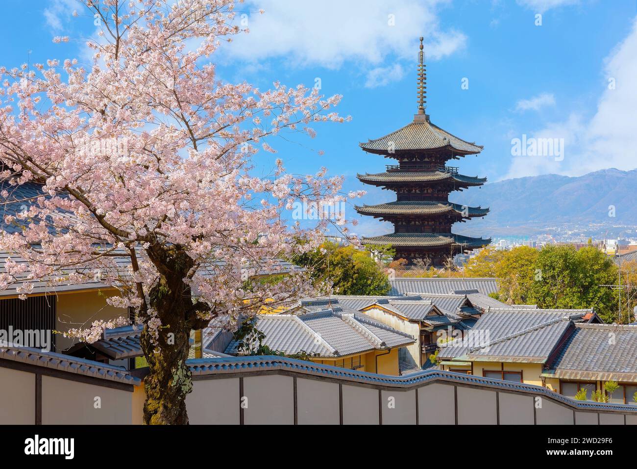 Kyoto, Japan - March 30 2023: The Yasaka Pagoda known as Tower of ...