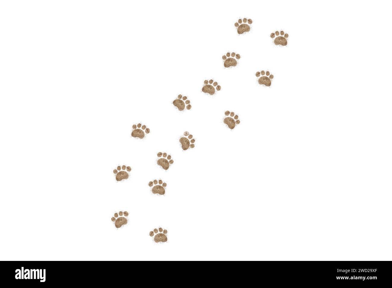 little dog footprints walking isolated on white background Stock Photo ...