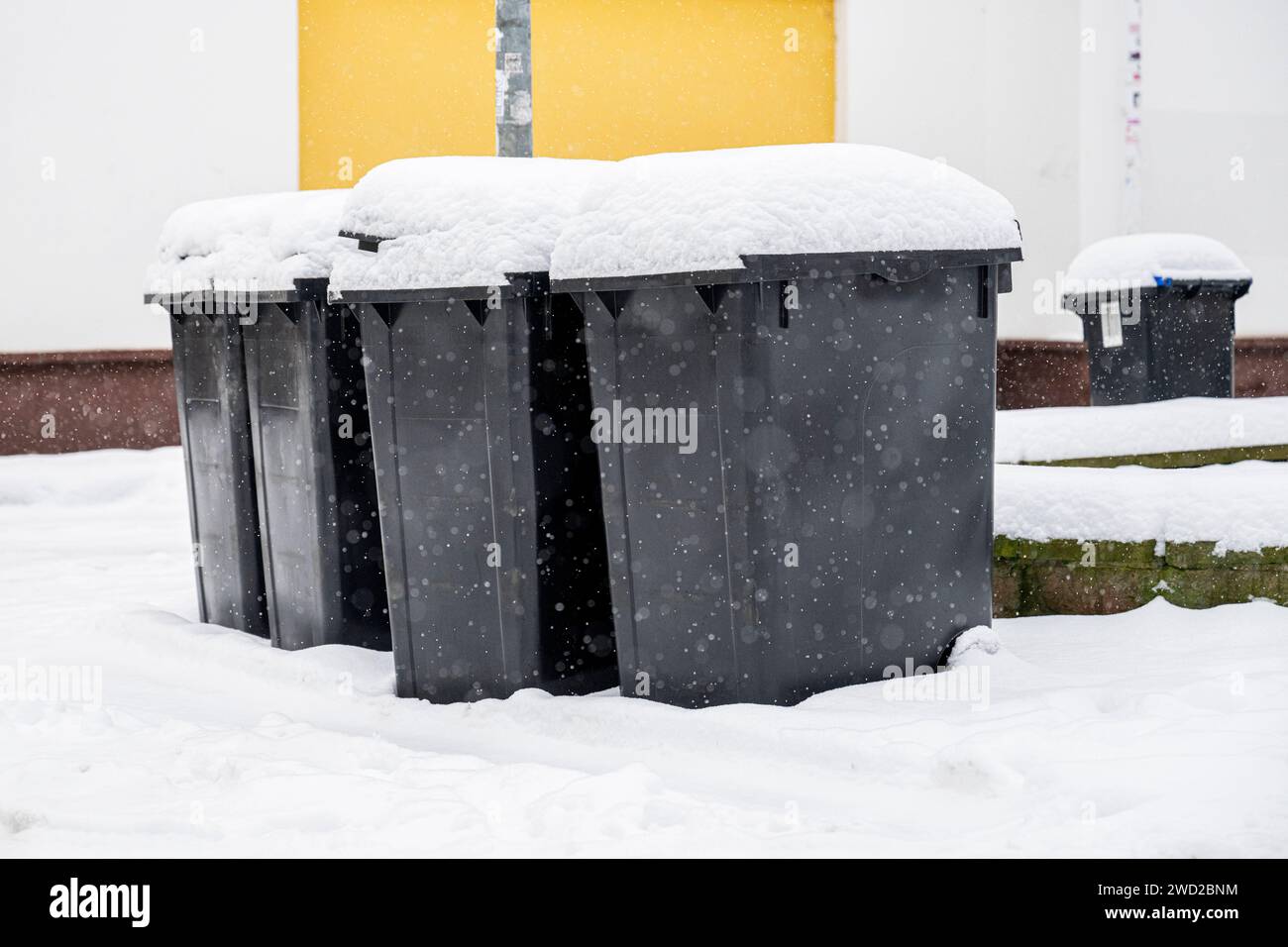 18/01/2024 - Erfurt: Mülltonnen in Erfurt sind eingeschneit ...