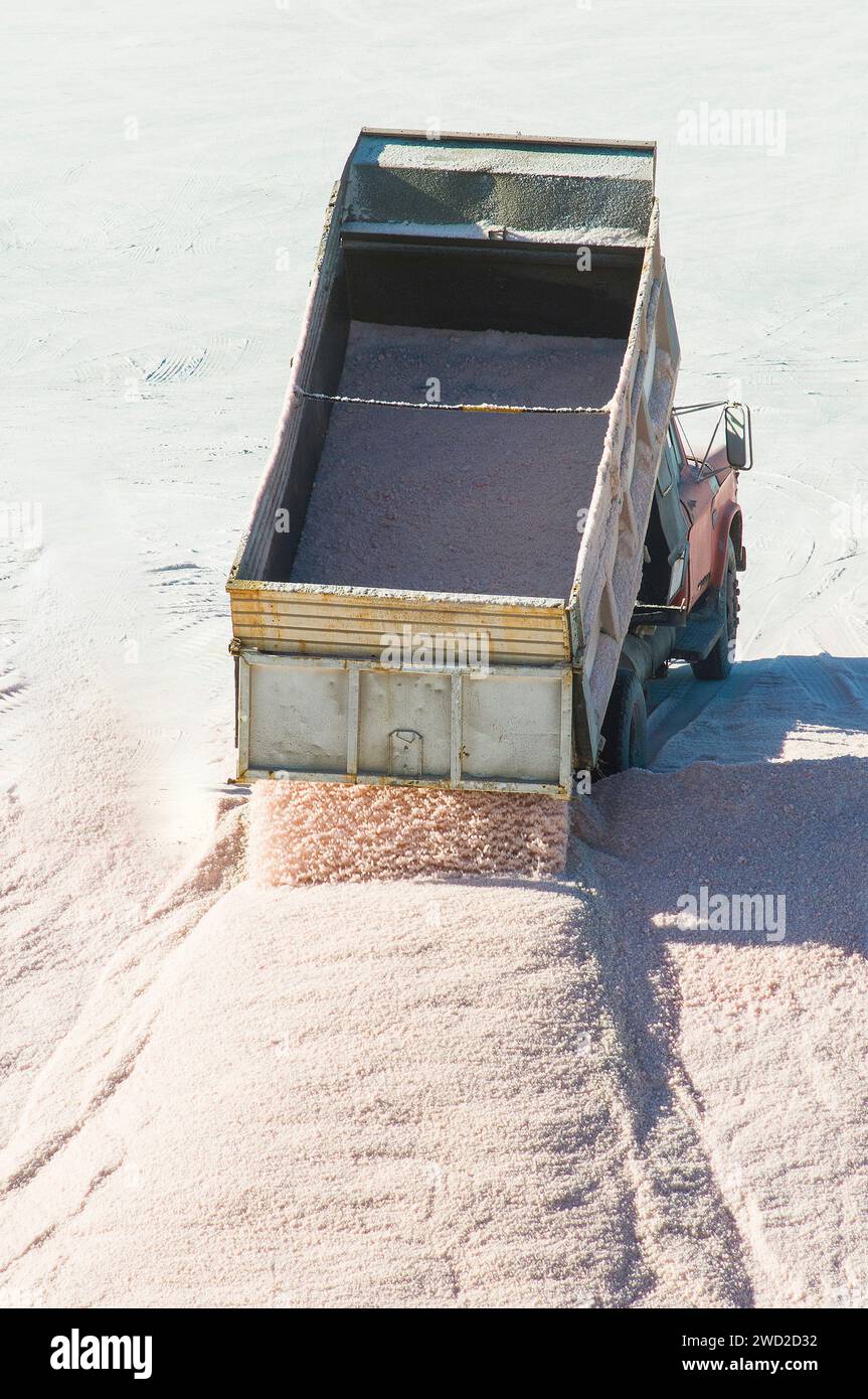 Trucks unloading raw salt bulk, Salinas Grandes de Hidalgo, La Pampa ...