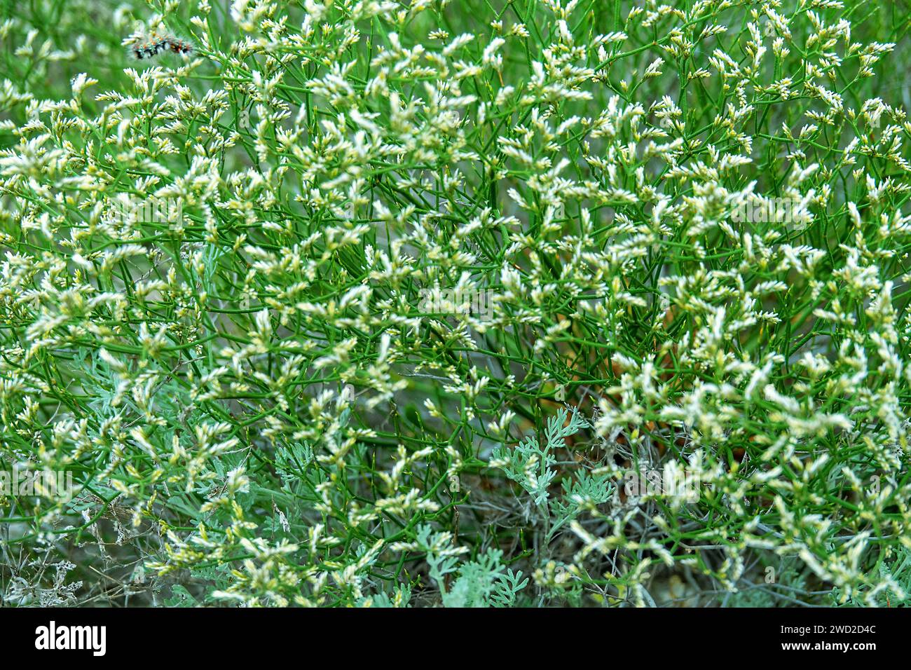 Tumble lake hi-res stock photography and images - Alamy