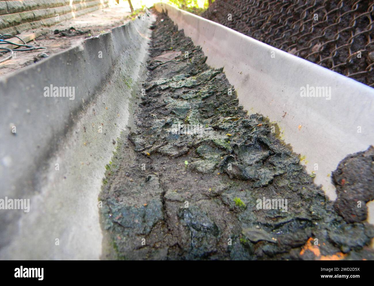 A close-up on clogged rain gutter, dirt in metal roof rain gutter which ...