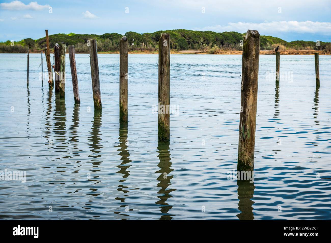 Nature and ancient Casoni in the Caorle lagoon Stock Photo - Alamy