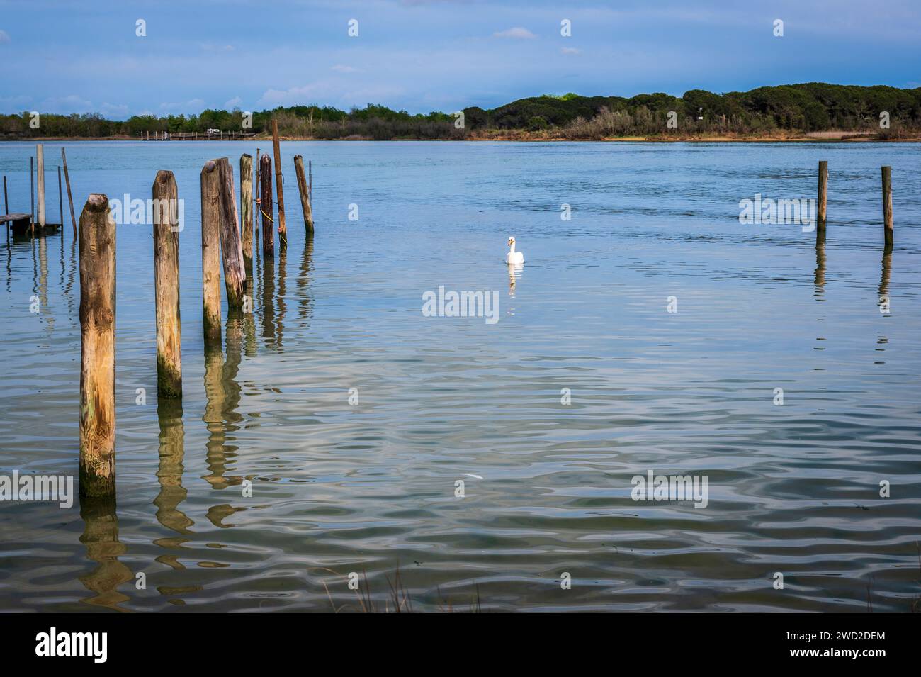 Nature and ancient Casoni in the Caorle lagoon Stock Photo - Alamy