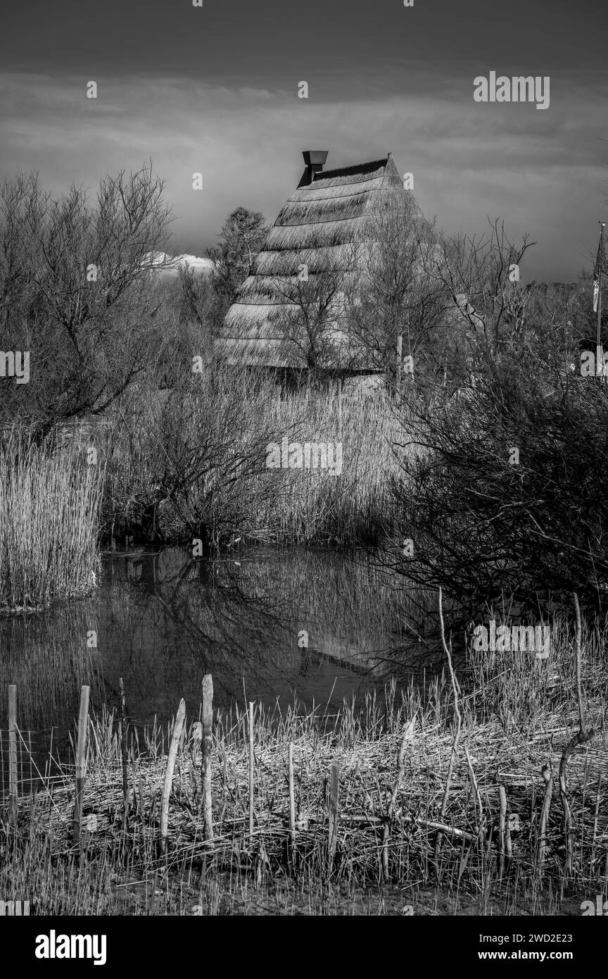 Nature and ancient Casoni in the Caorle lagoon Stock Photo - Alamy