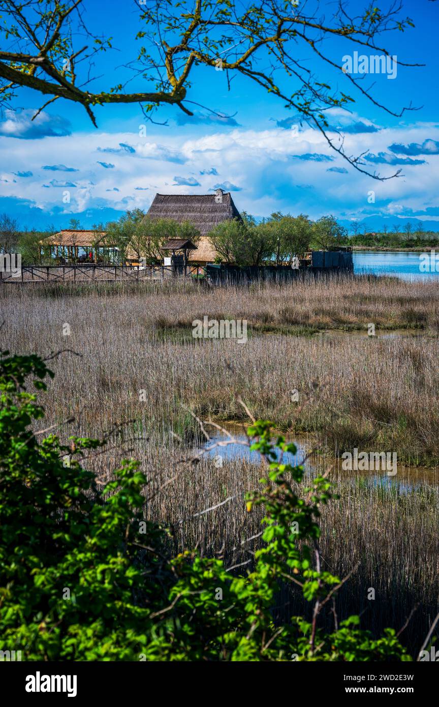 Nature and ancient Casoni in the Caorle lagoon Stock Photo - Alamy