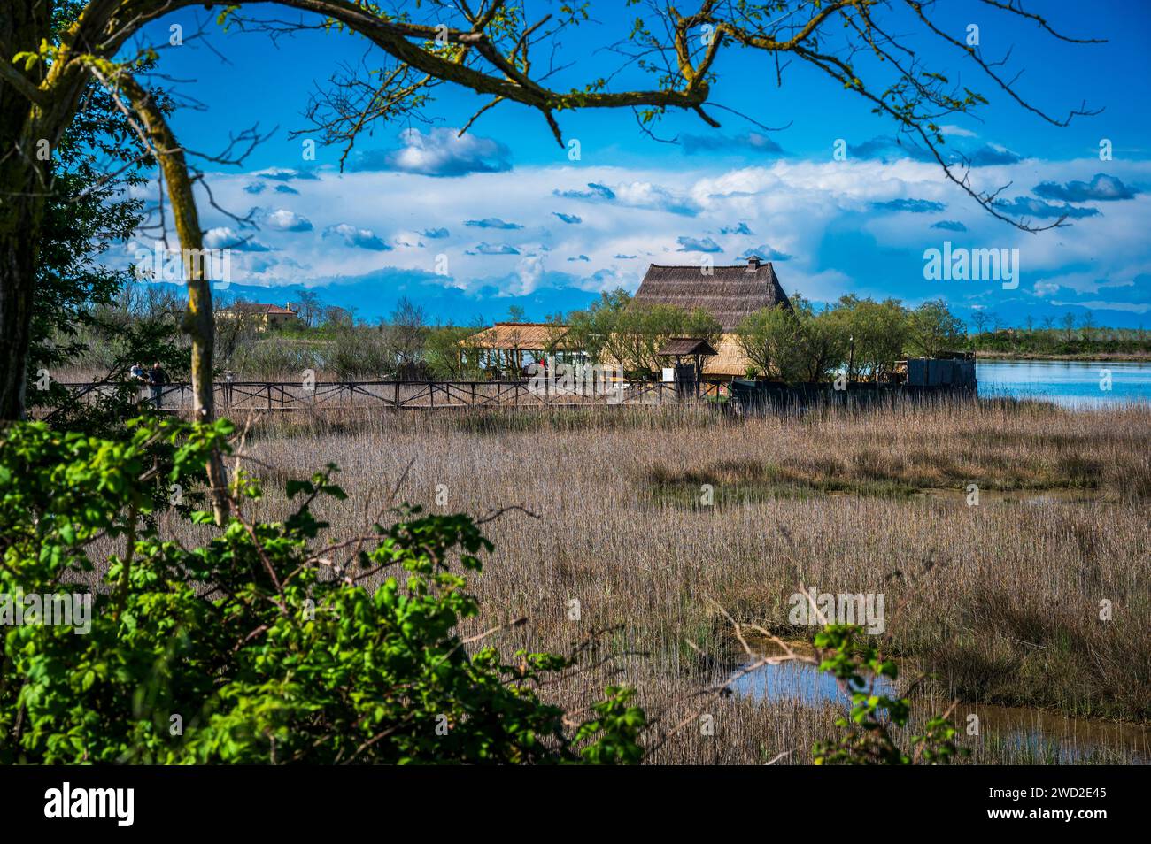 Nature and ancient Casoni in the Caorle lagoon Stock Photo - Alamy