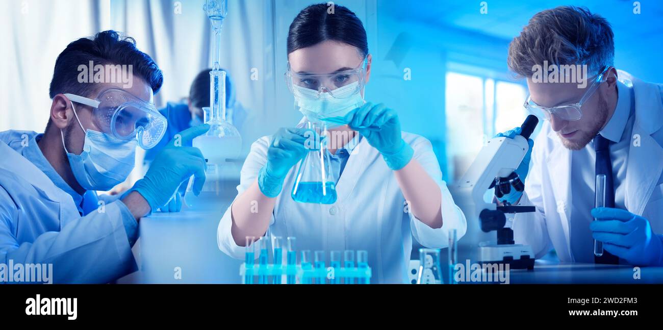Testing, analysis and experiment. Laboratory employees working ...