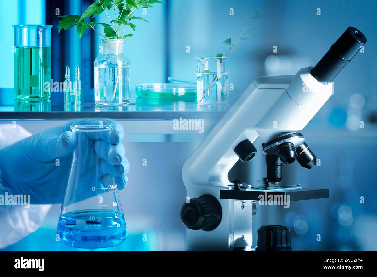 Testing, analysis and experiment. Laboratory employee working ...