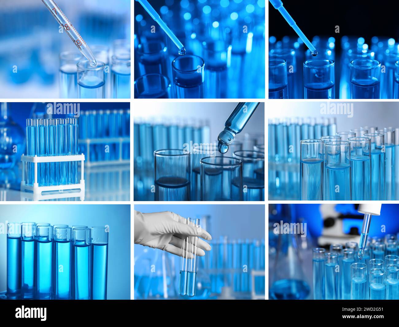 Laboratory glassware with samples and worker, collage Stock Photo - Alamy
