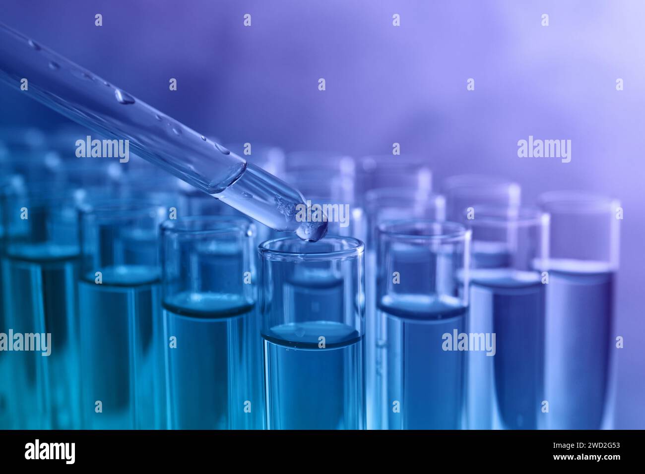Dripping reagent into test tube with sample, closeup. Color toned Stock ...
