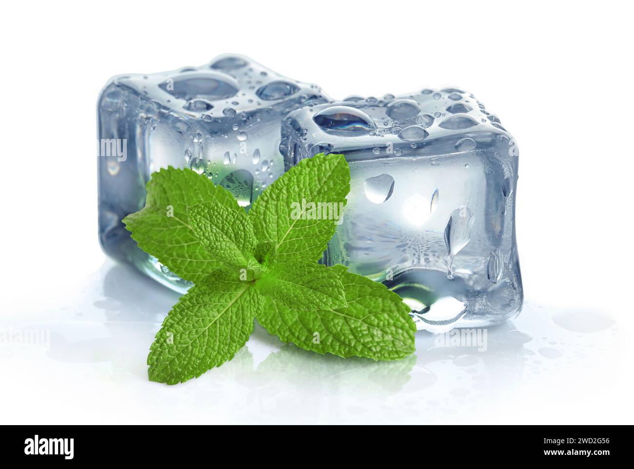 Green mint and ice cubes isolated on white Stock Photo - Alamy
