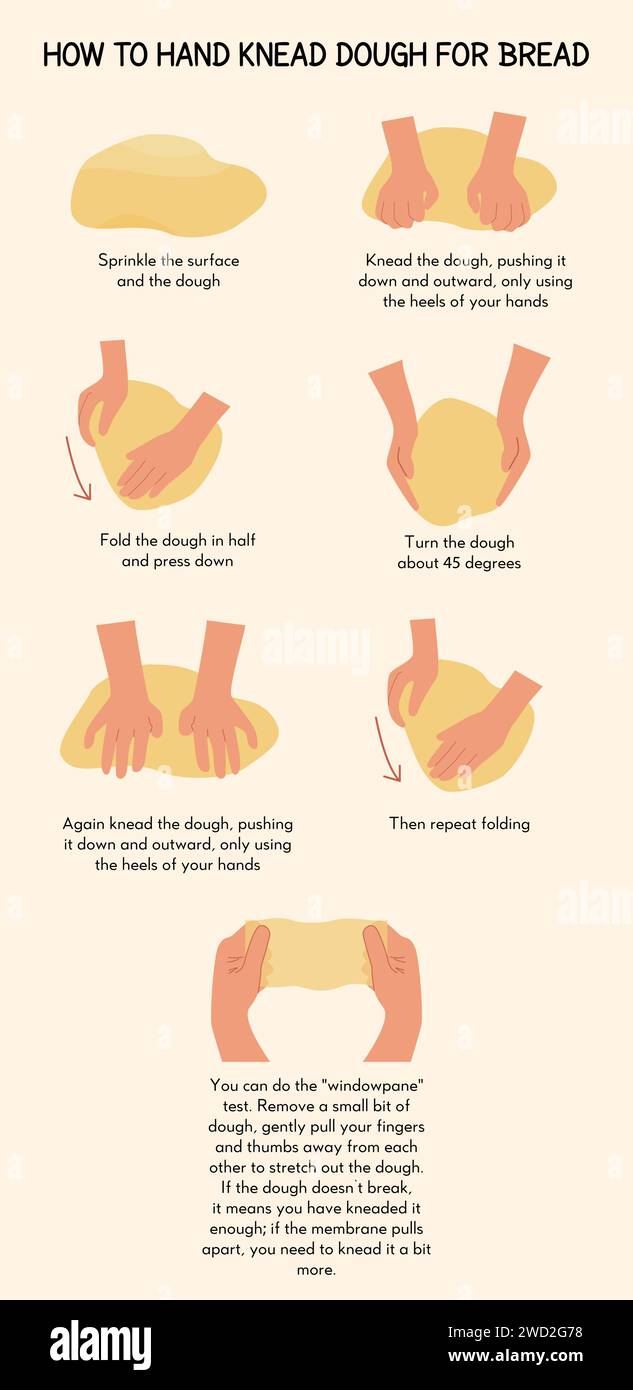Infographic caption how to hand knead dough for bread. Process of ...