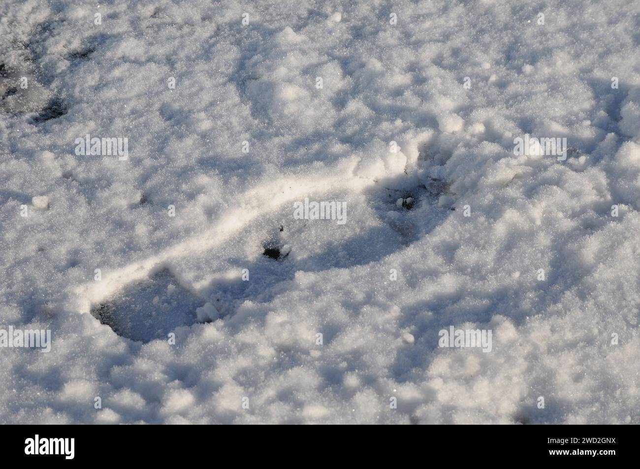Copenhagen, Denmark /18 January 2024/.Harsh snow fall weather in ...