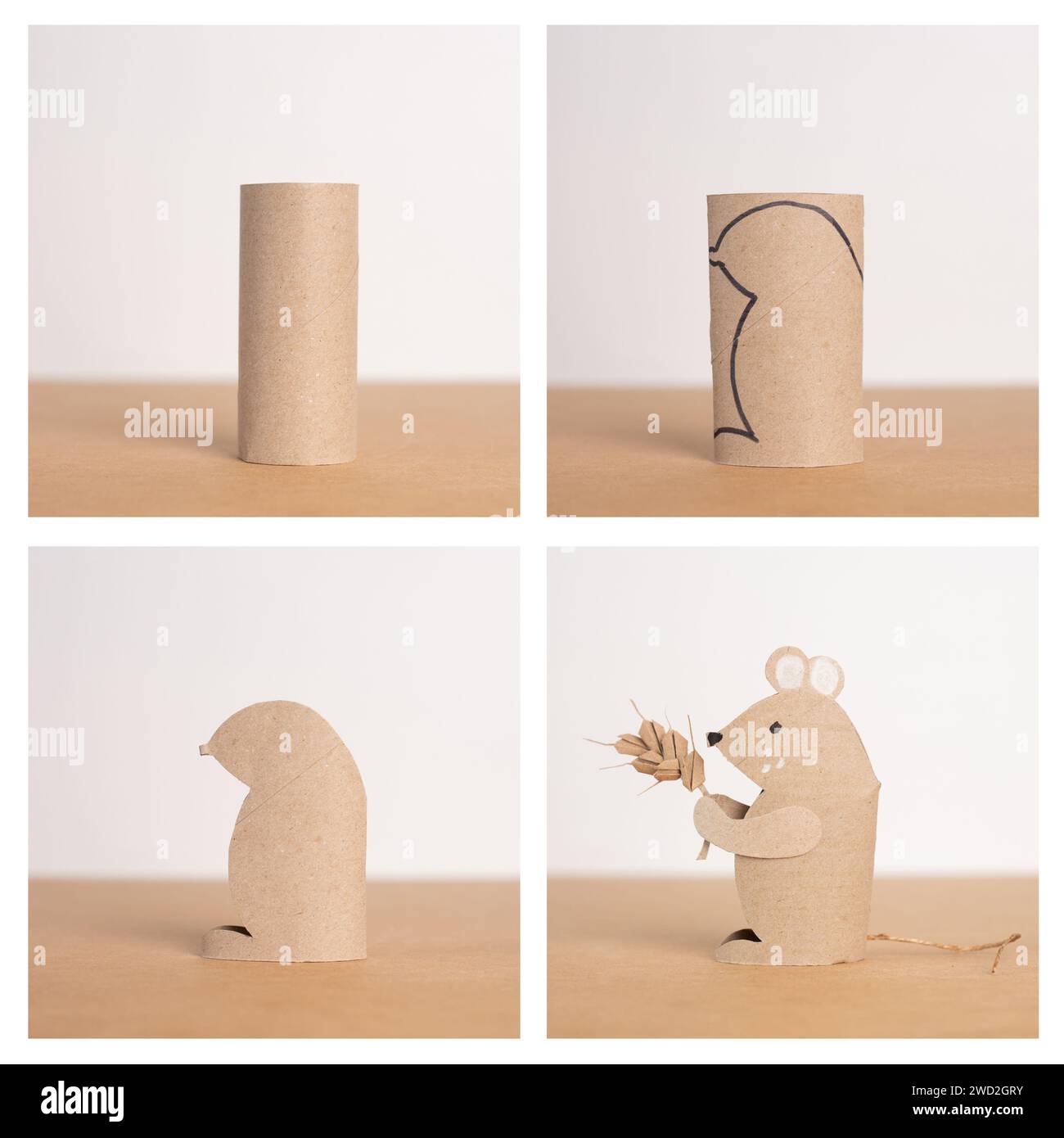 Close up soft paper rolls Cut Out Stock Images & Pictures - Alamy