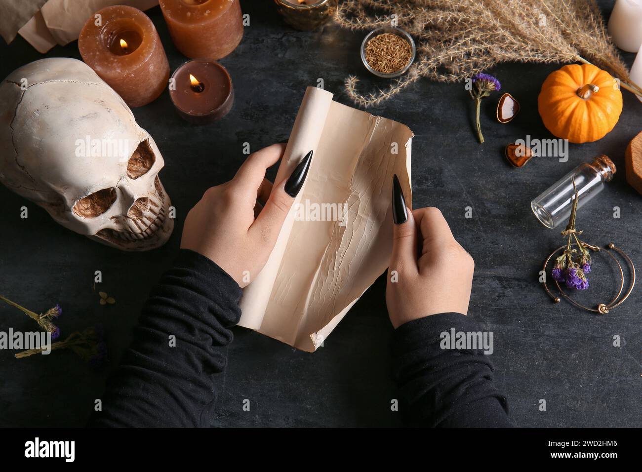 Witch with scroll and magic attributes on dark background Stock Photo ...