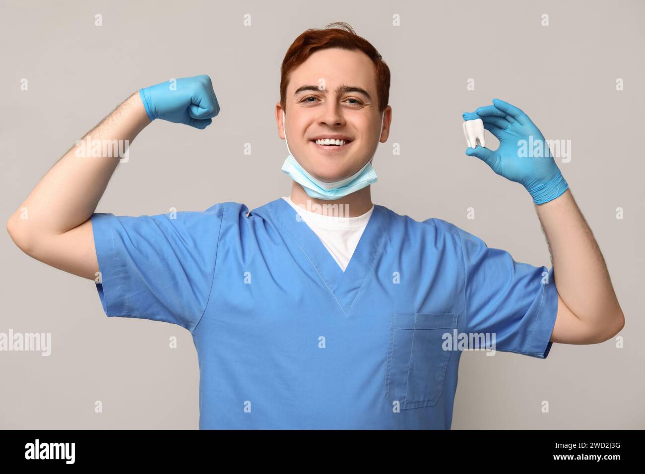 Male dentist with tooth model flexing on grey background. World Dentist ...