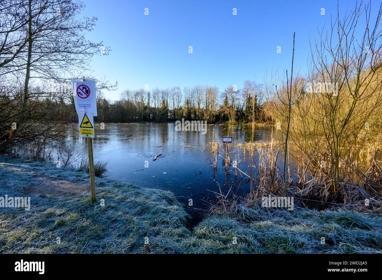 Pool littered hi-res stock photography and images - Alamy