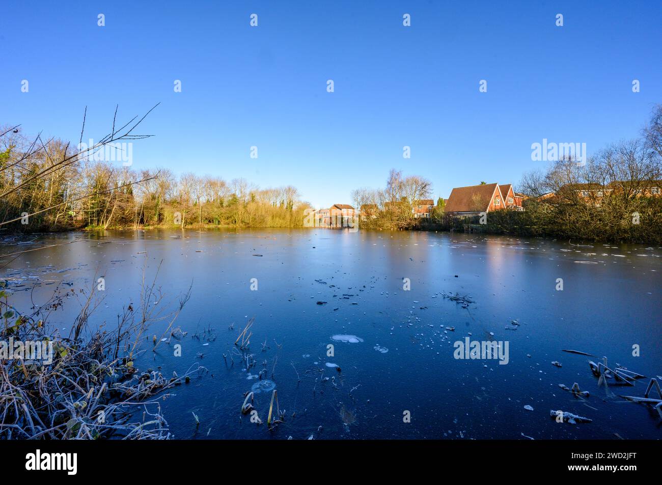 Frozen urban pond, surounded by trees and houses, littered with items ...