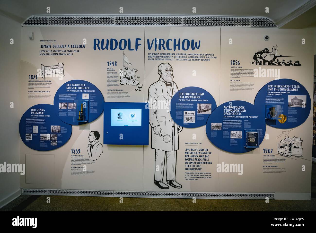 Berlin Mitte BMM Berliner Medizinhistorisches Museum der CharitÃ , Vita ...