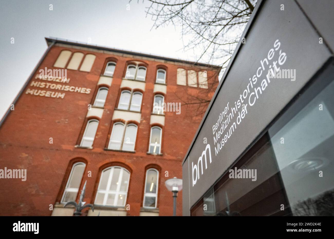 Berlin Mitte BMM Berliner Medizinhistorisches Museum der CharitÃ - 18.01.2024 Berlin *** Berlin ...