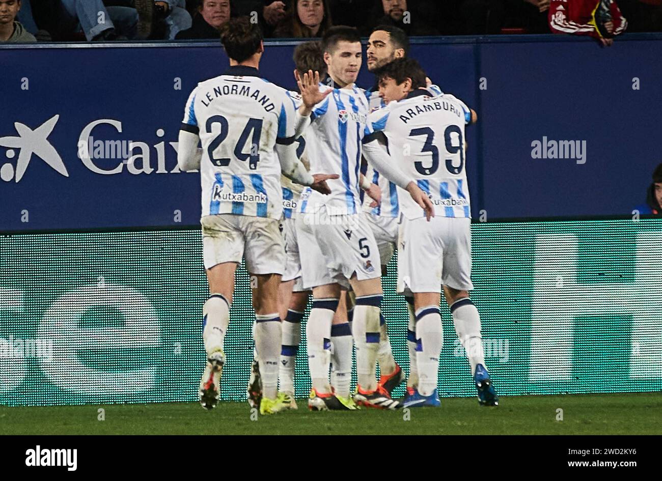 El merino hi-res stock photography and images - Alamy