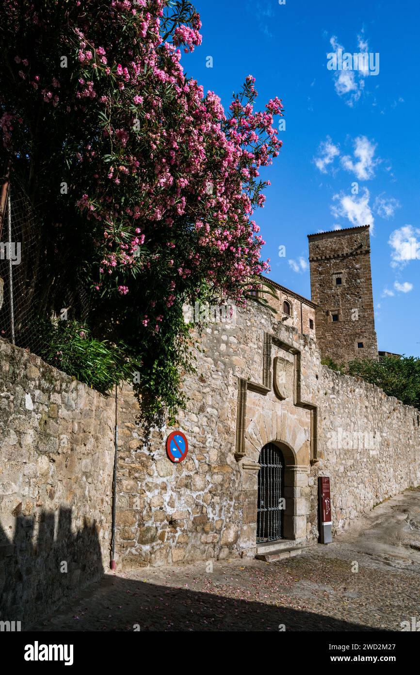Stronghold of luis de chaves el viejo hi-res stock photography and ...